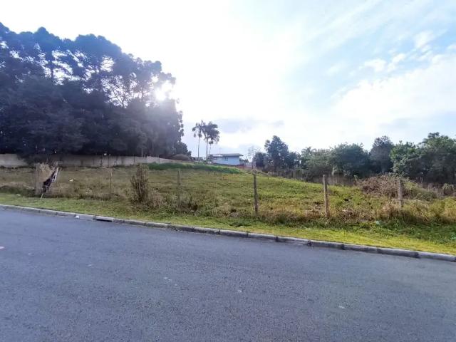 Terreno / Lote para Venda em Curitiba/PR Abranches