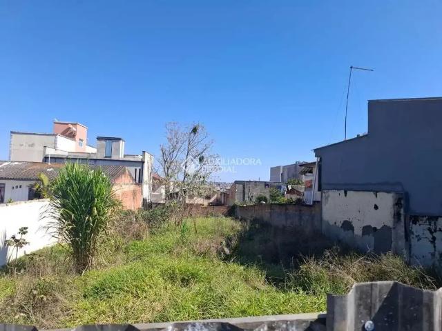 Terreno / Lote para Venda em Curitiba/PR Alto Boqueirão