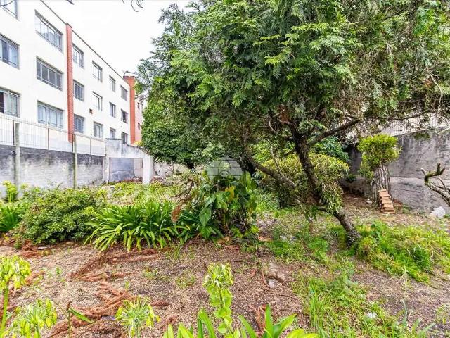 Terreno / Lote para Venda em Curitiba/PR Alto da Rua XV