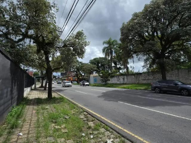 Terreno / Lote para Venda em Curitiba/PR Bacacheri