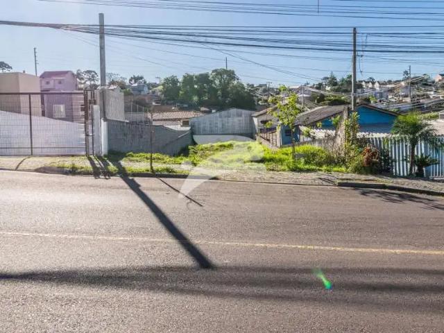 Terreno / Lote para Venda em Curitiba/PR Bairro Alto