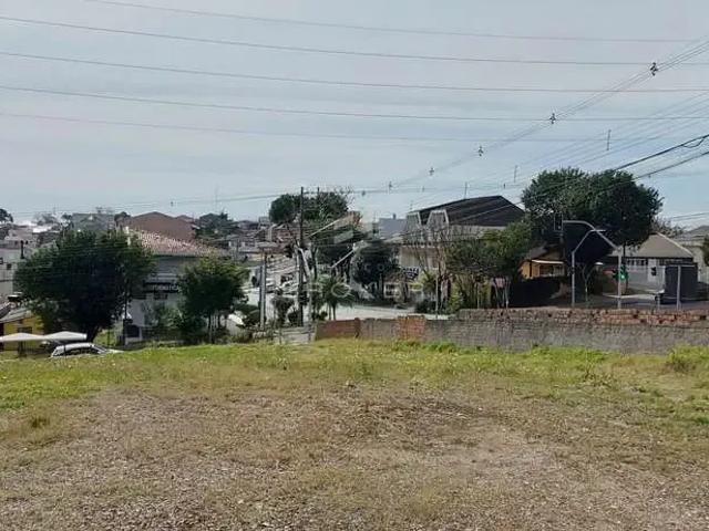 Terreno / Lote para Venda em Curitiba/PR Bairro Alto
