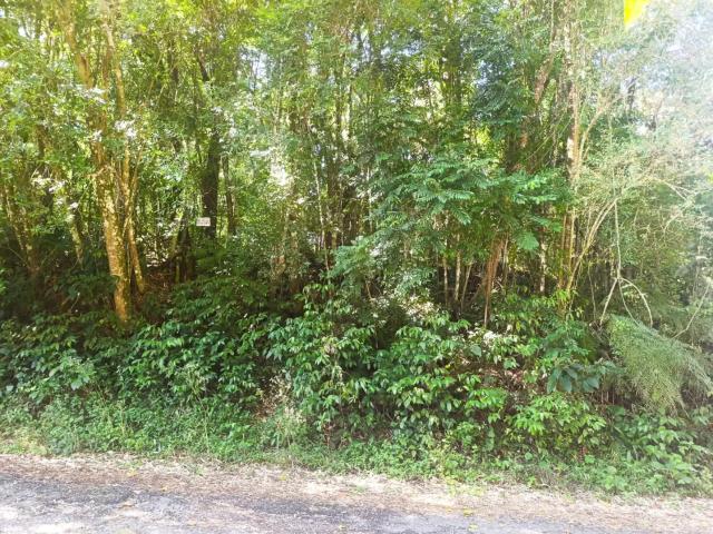Terreno / Lote para Venda em Curitiba/PR Barreirinha