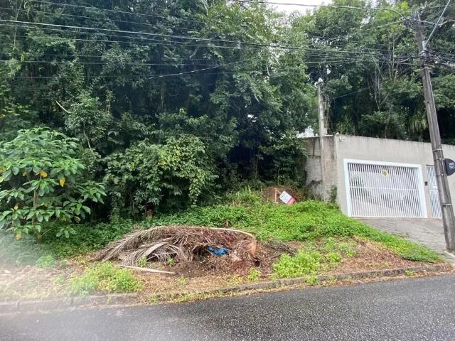 Terreno / Lote para Venda em Curitiba/PR Barreirinha