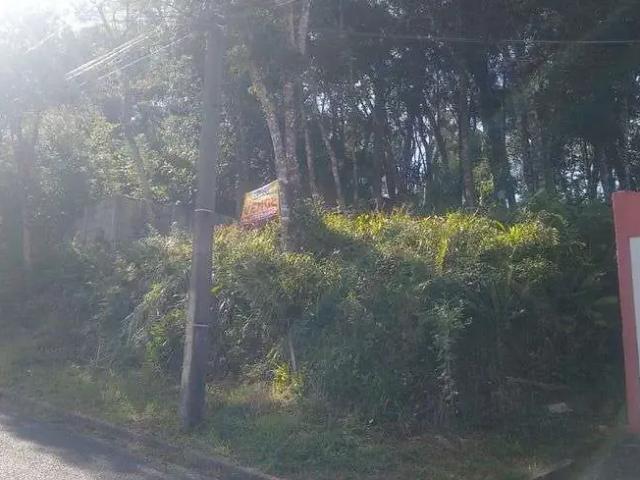 Terreno / Lote para Venda em Curitiba/PR Barreirinha