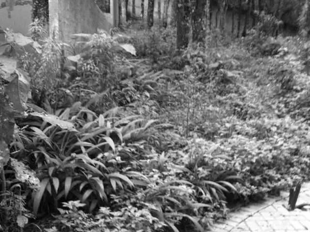 Terreno / Lote para Venda em Curitiba/PR Barreirinha
