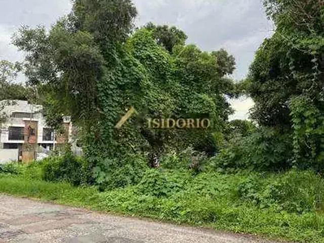 Terreno / Lote para Venda em Curitiba/PR Barreirinha