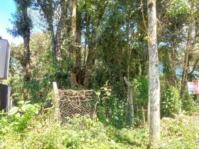 Terreno / Lote para Venda em Curitiba/PR Barreirinha