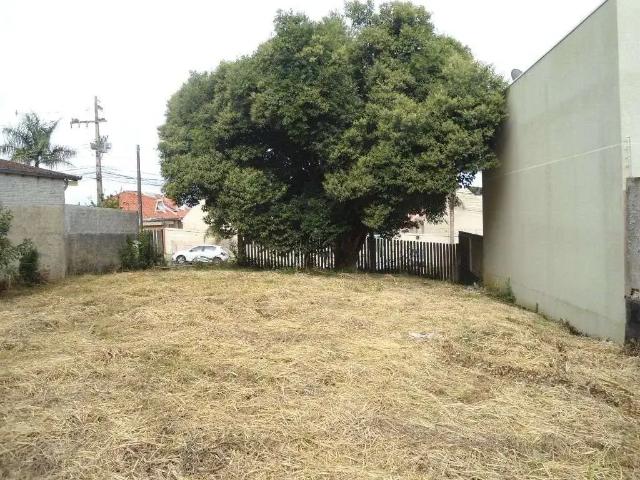 Terreno / Lote para Venda em Curitiba/PR Barreirinha