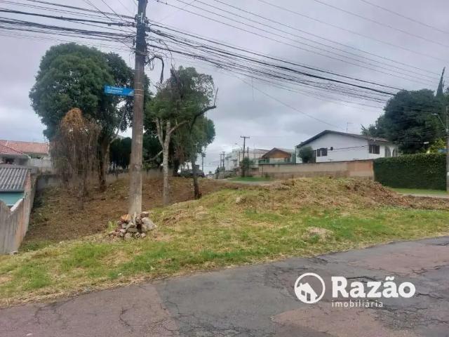 Terreno / Lote para Venda em Curitiba/PR Barreirinha