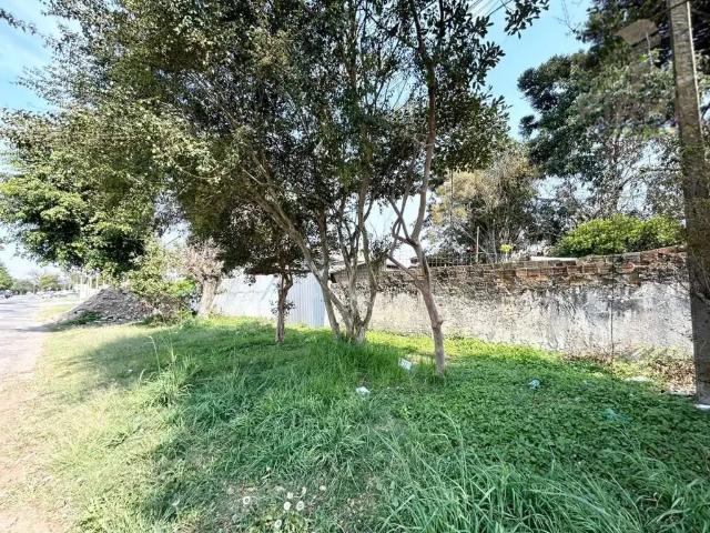 Terreno / Lote para Venda em Curitiba/PR Boqueirão
