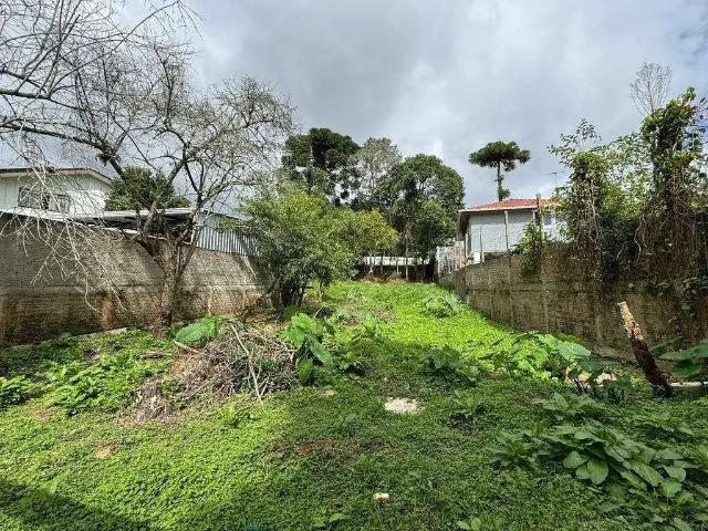 Terreno / Lote para Venda em Curitiba/PR Campo Comprido