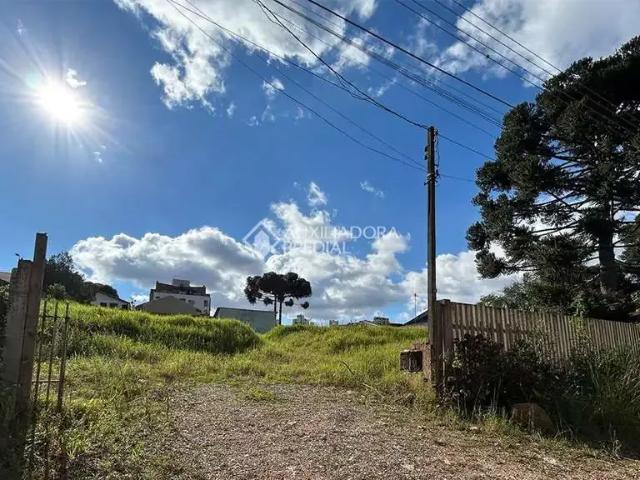 Terreno / Lote para Venda em Curitiba/PR Campo Comprido