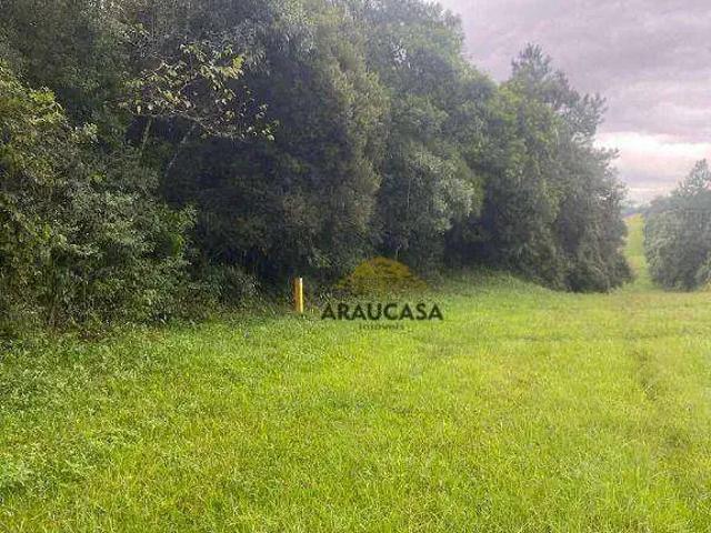 Terreno / Lote para Venda em Curitiba/PR Campo de Santana