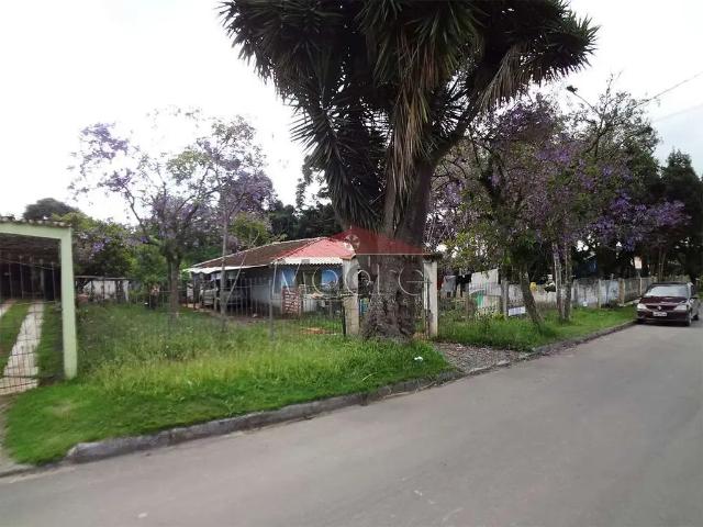 Terreno / Lote para Venda em Curitiba/PR Campo de Santana