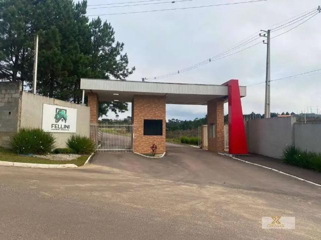 Terreno / Lote para Venda em Curitiba/PR Centro