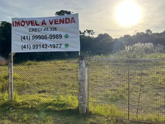 Terreno / Lote para Venda em Curitiba/PR Cidade Industrial