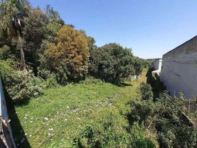 Terreno / Lote para Venda em Curitiba/PR Cidade Industrial