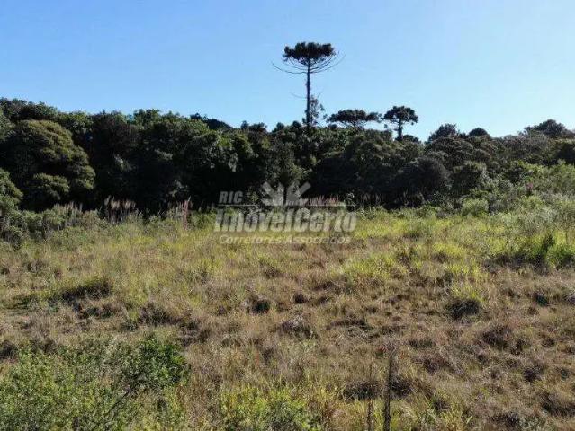 Terreno / Lote para Venda em Curitiba/PR Cidade Industrial