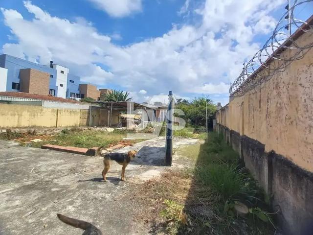 Terreno / Lote para Venda em Curitiba/PR Guaíra