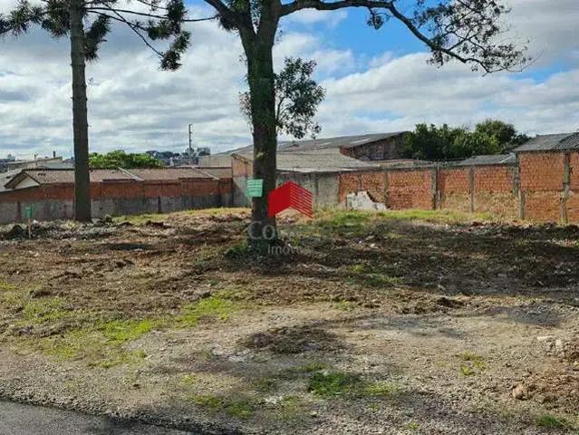 Terreno / Lote para Venda em Curitiba/PR Guaíra