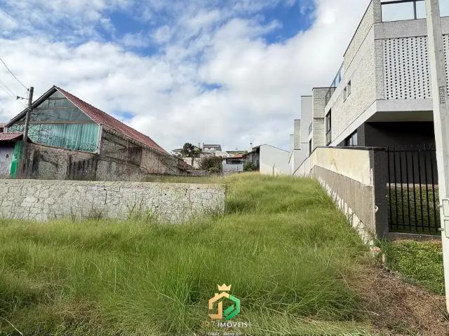 Terreno / Lote para Venda em Curitiba/PR Pilarzinho