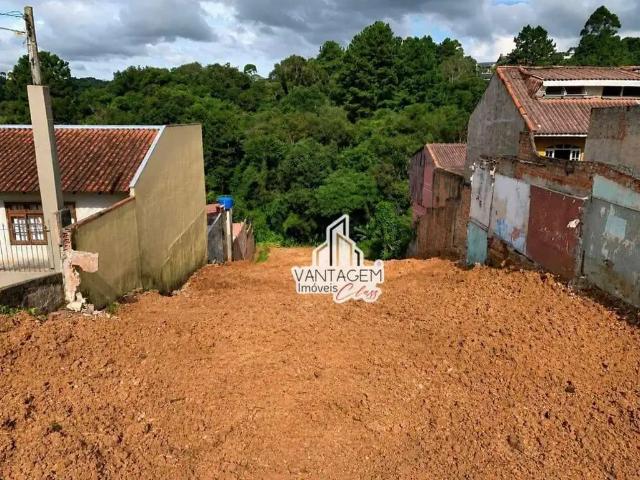 Terreno / Lote para Venda em Curitiba/PR Pilarzinho