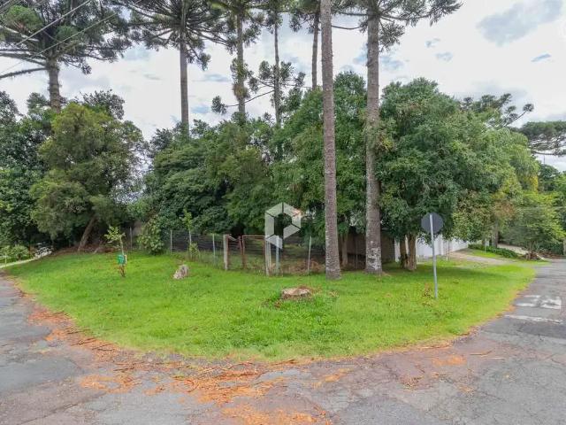 Terreno / Lote para Venda em Curitiba/PR Pilarzinho