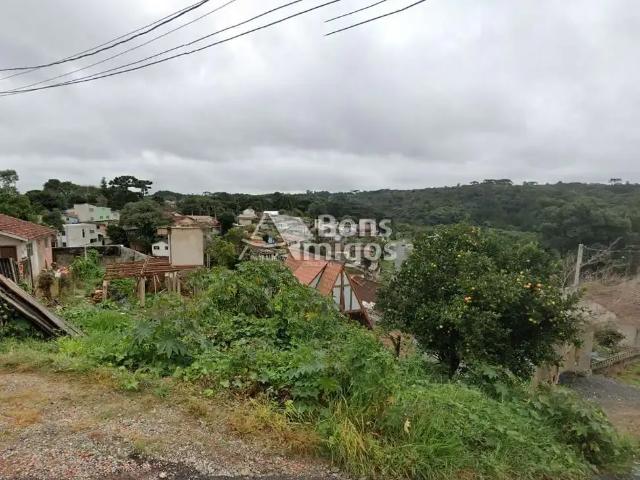 Terreno / Lote para Venda em Curitiba/PR Pilarzinho