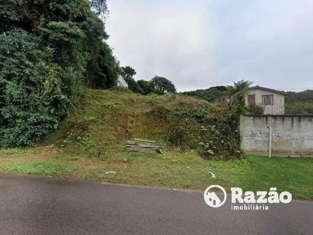 Terreno / Lote para Venda em Curitiba/PR Pilarzinho