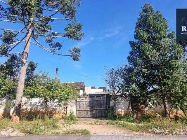 Terreno / Lote para Venda em Curitiba/PR Pilarzinho