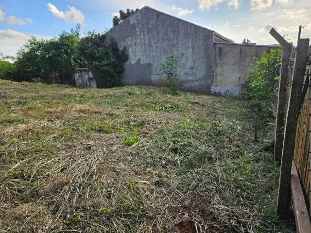Terreno / Lote para Venda em Curitiba/PR Pilarzinho