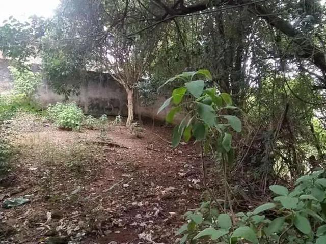 Terreno / Lote para Venda em Curitiba/PR Portão