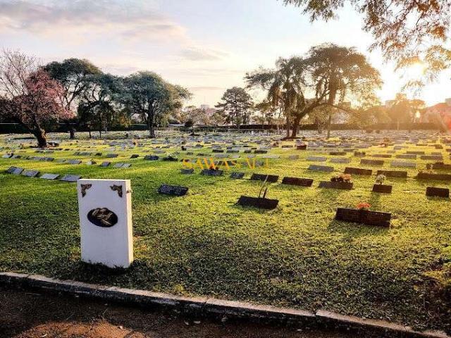 Terreno / Lote para Venda em Curitiba/PR Portão
