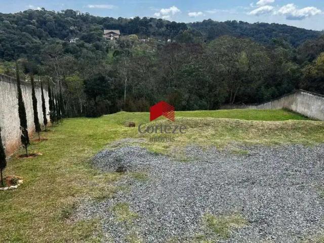 Terreno / Lote para Venda em Curitiba/PR São Braz