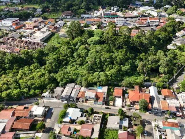 Terreno / Lote para Venda em Curitiba/PR São Braz