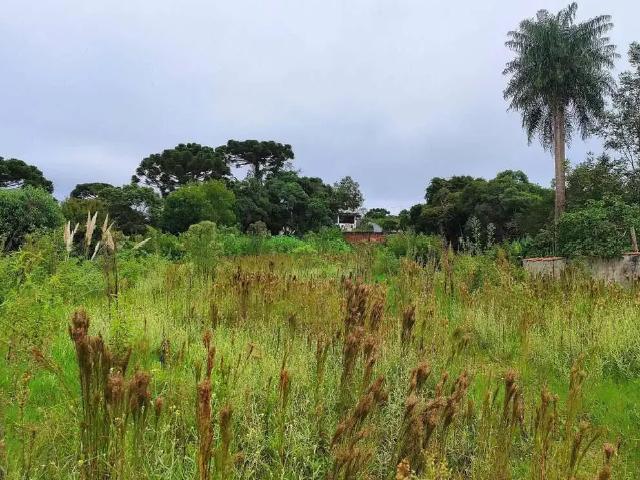 Terreno / Lote para Venda em Curitiba/PR São Braz