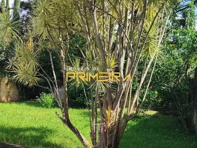 Terreno / Lote para Venda em Curitiba/PR São Francisco