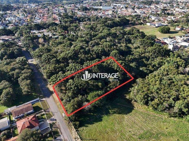 Terreno / Lote para Venda em Curitiba/PR Santa Felicidade