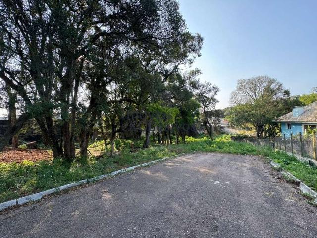 Terreno / Lote para Venda em Curitiba/PR Santa Felicidade