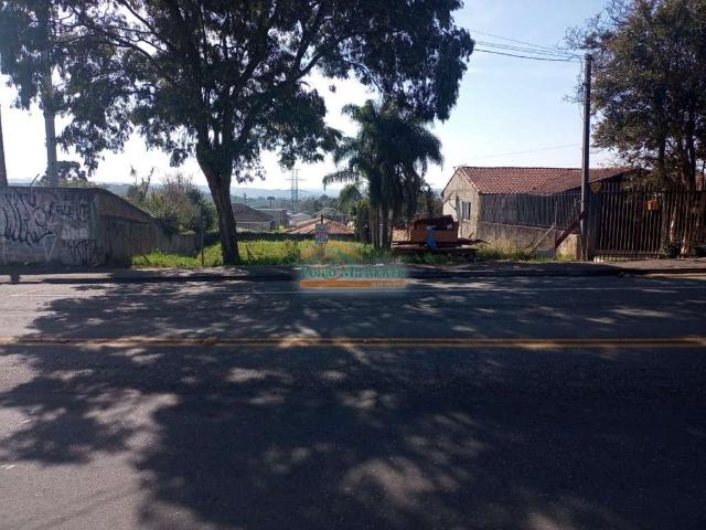 Terreno / Lote para Venda em Curitiba/PR São João