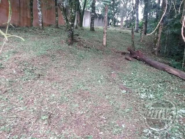 Terreno / Lote para Venda em Curitiba/PR Santa Felicidade