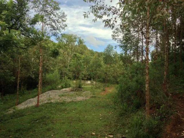 Terreno / Lote para Venda em Curitiba/PR Santa Felicidade