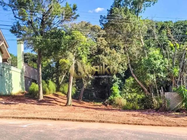 Terreno / Lote para Venda em Curitiba/PR Santa Felicidade