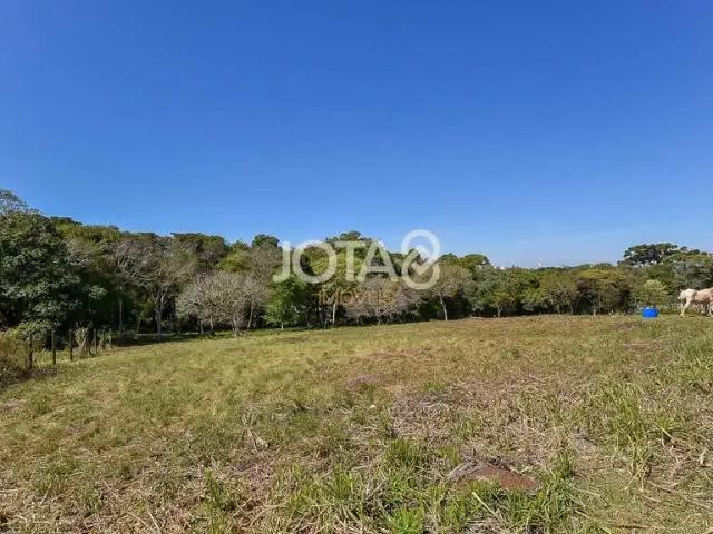 Terreno / Lote para Venda em Curitiba/PR Santa Felicidade