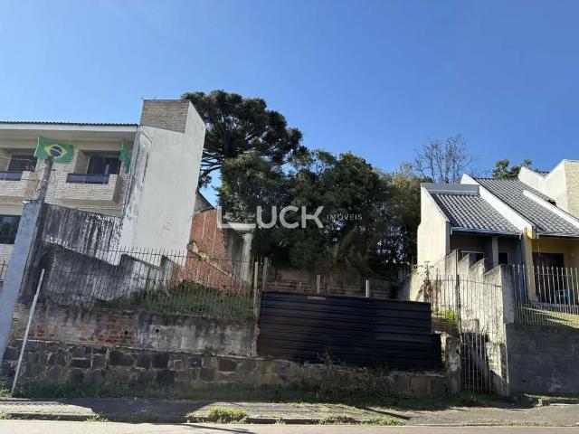 Terreno / Lote para Venda em Curitiba/PR Seminário