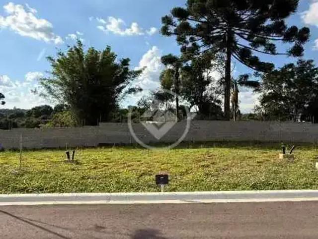 Terreno / Lote para Venda em Curitiba/PR Taboão