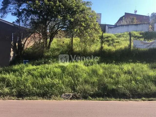 Terreno / Lote para Venda em Curitiba/PR Tingui