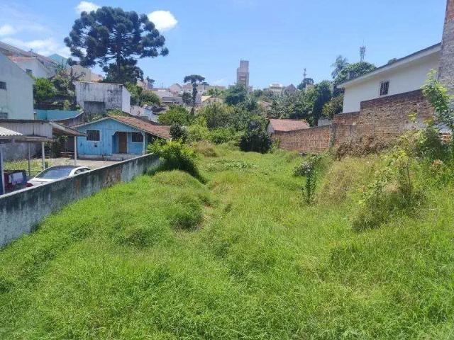 Terreno / Lote para Venda em Curitiba/PR Tingui