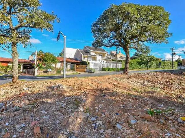 Terreno / Lote para Venda em Curitiba/PR Tingui